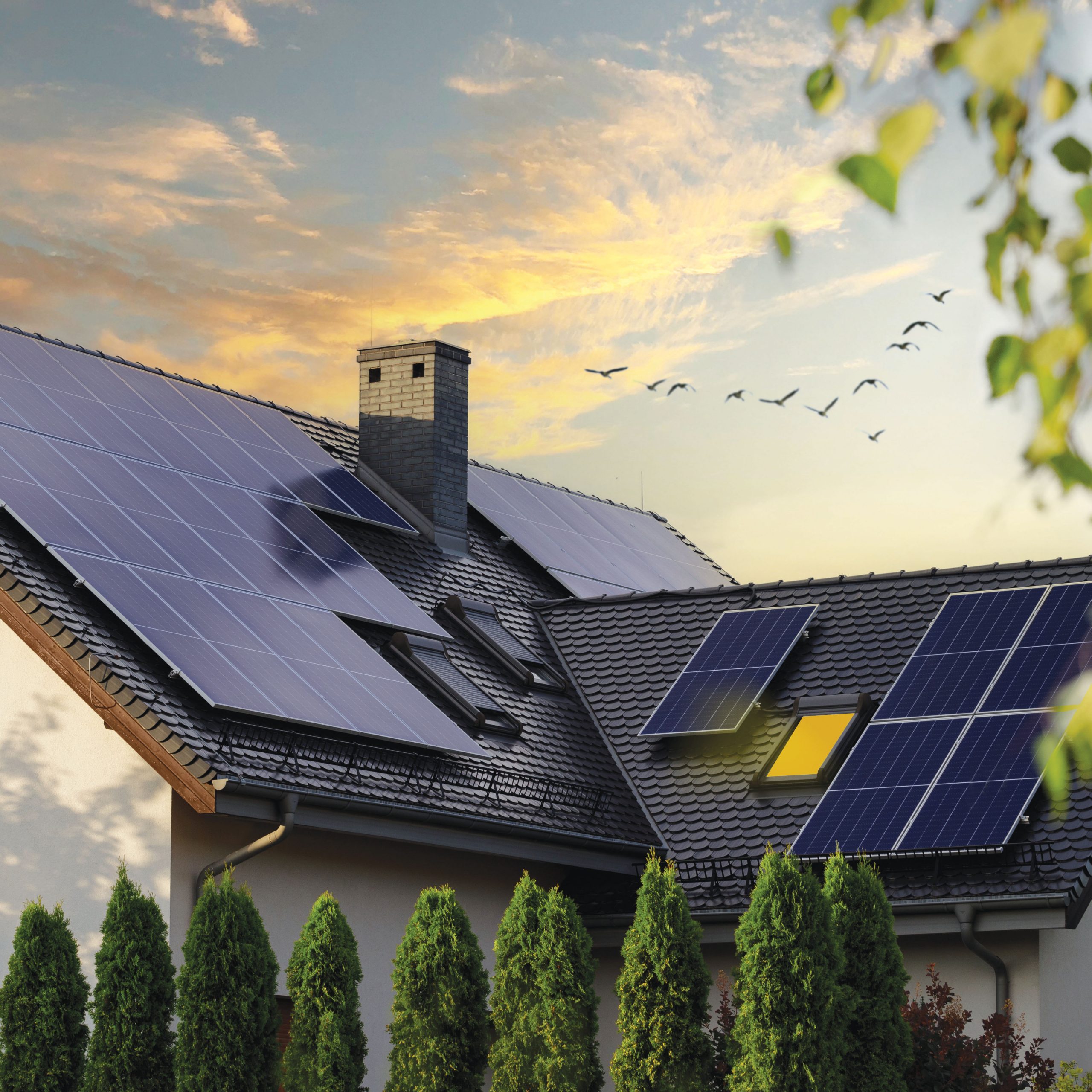 JDM Earth - Solar PV, Battery Storage & EV Charging - JDM